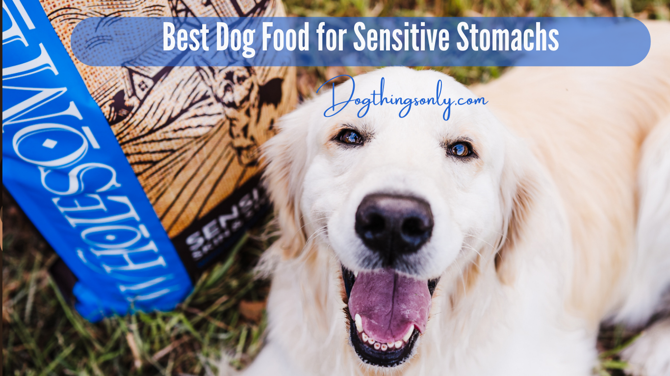 Best Dog Food for Sensitive Stomachs - Dog Things Only
