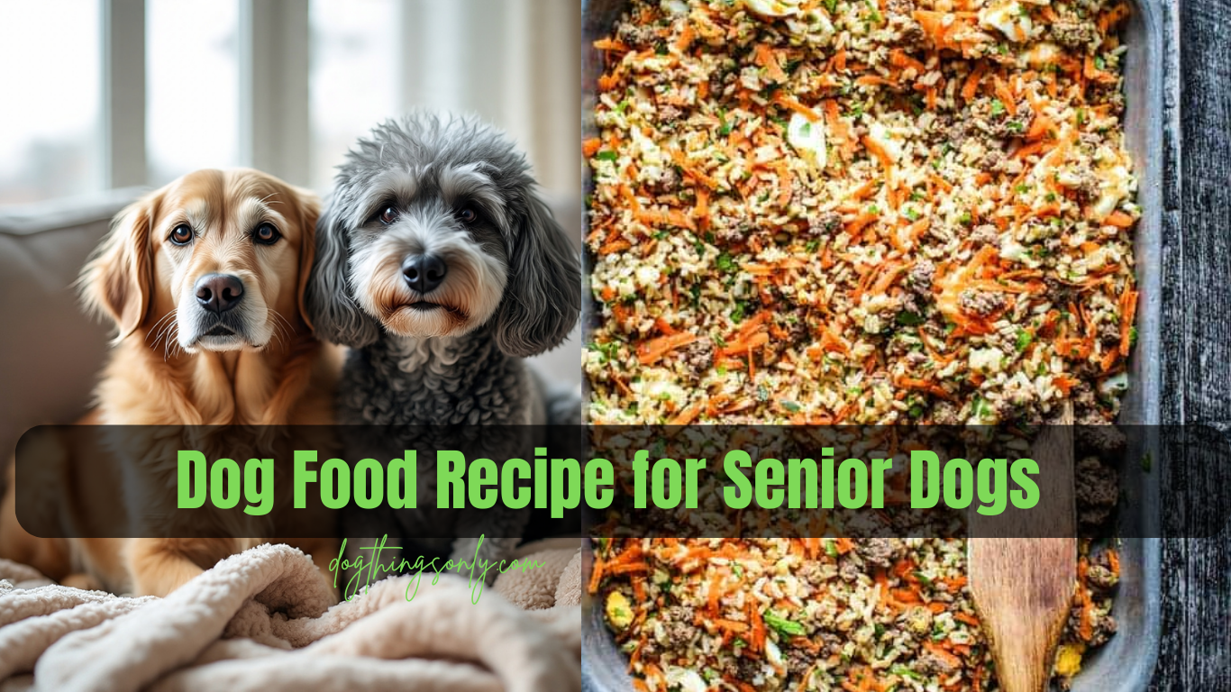 Dog Food Recipe for Senior Dogs | Dog things Only - Dog Things Only