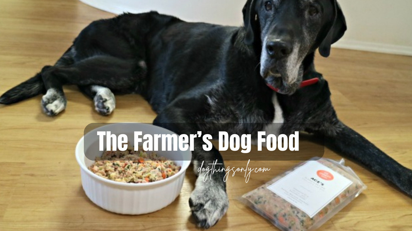 The Farmer's Dog Food Review 2025 | Fresh Human-Grade Meals for Dogs ...