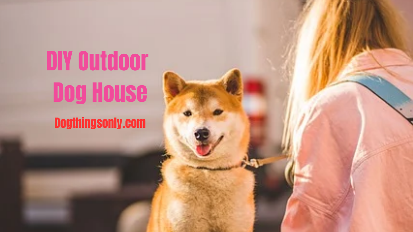 DIY Outdoor Dog House Plans: Build the Perfect Shelter for Your Pup ...
