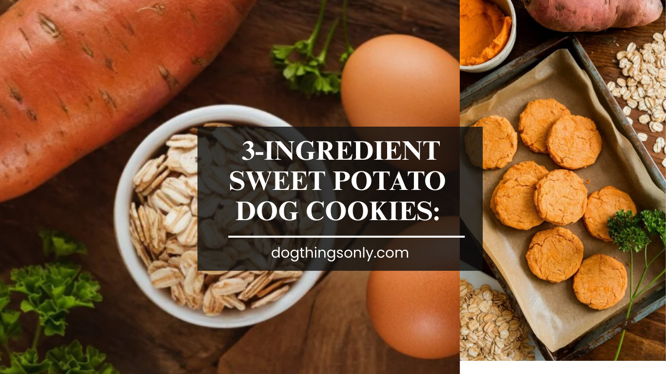 3-Ingredient Sweet Potato Dog Cookies: Healthy & Easy