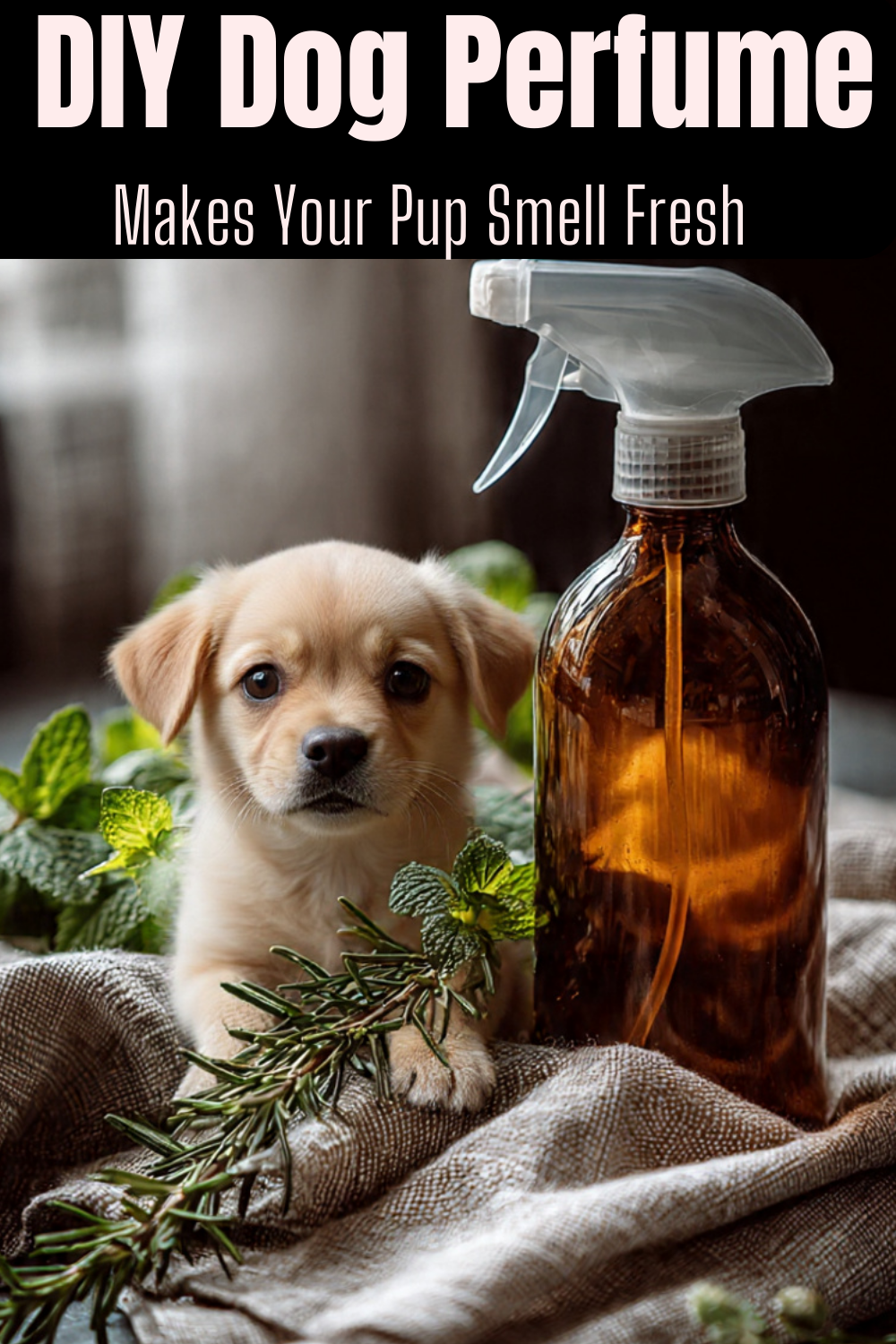 This Minty DIY Dog Perfume Makes Your Pup Smell Fresh in Minutes - Dog ...